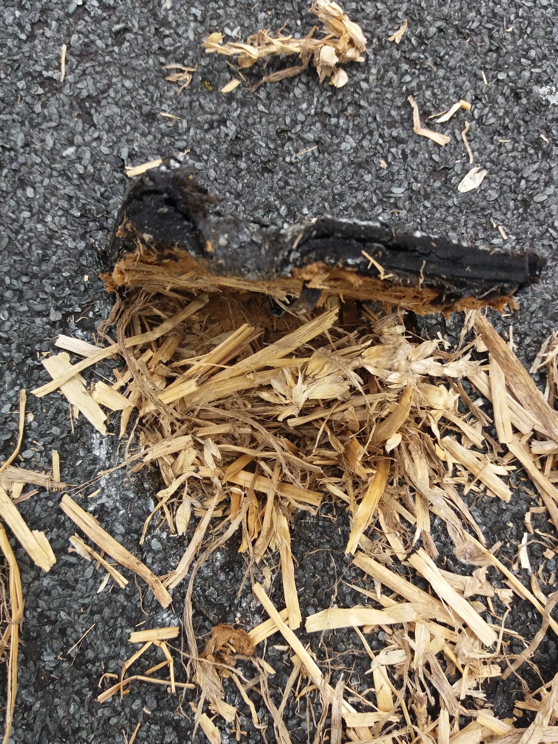 Not just RAAC: What you should know about fragile roof decks - AccuRoof